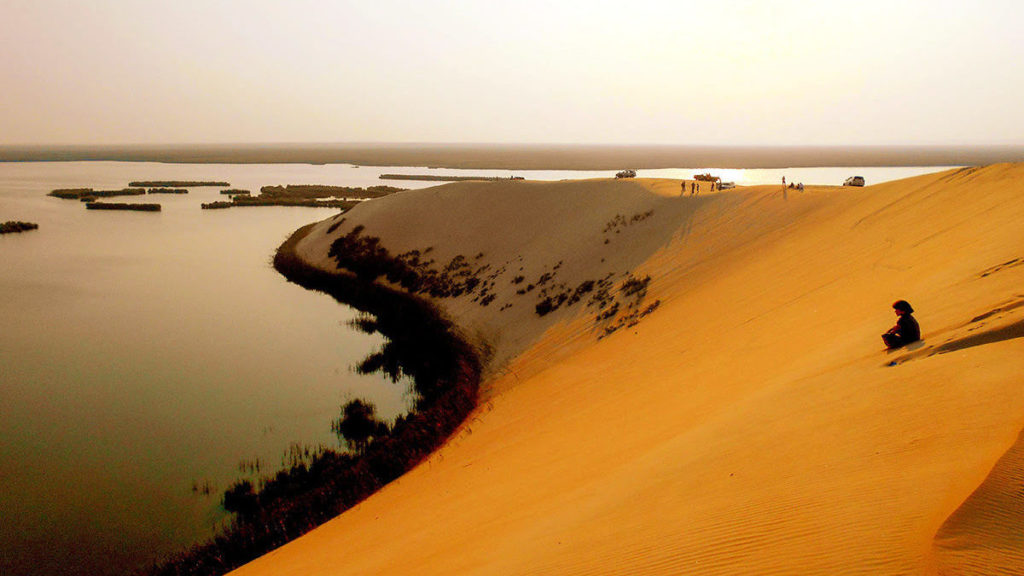 Founding day of Saudi Arabia | Al-Furqan Islamic Heritage Foundation